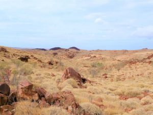 Home - Riversgold Limited